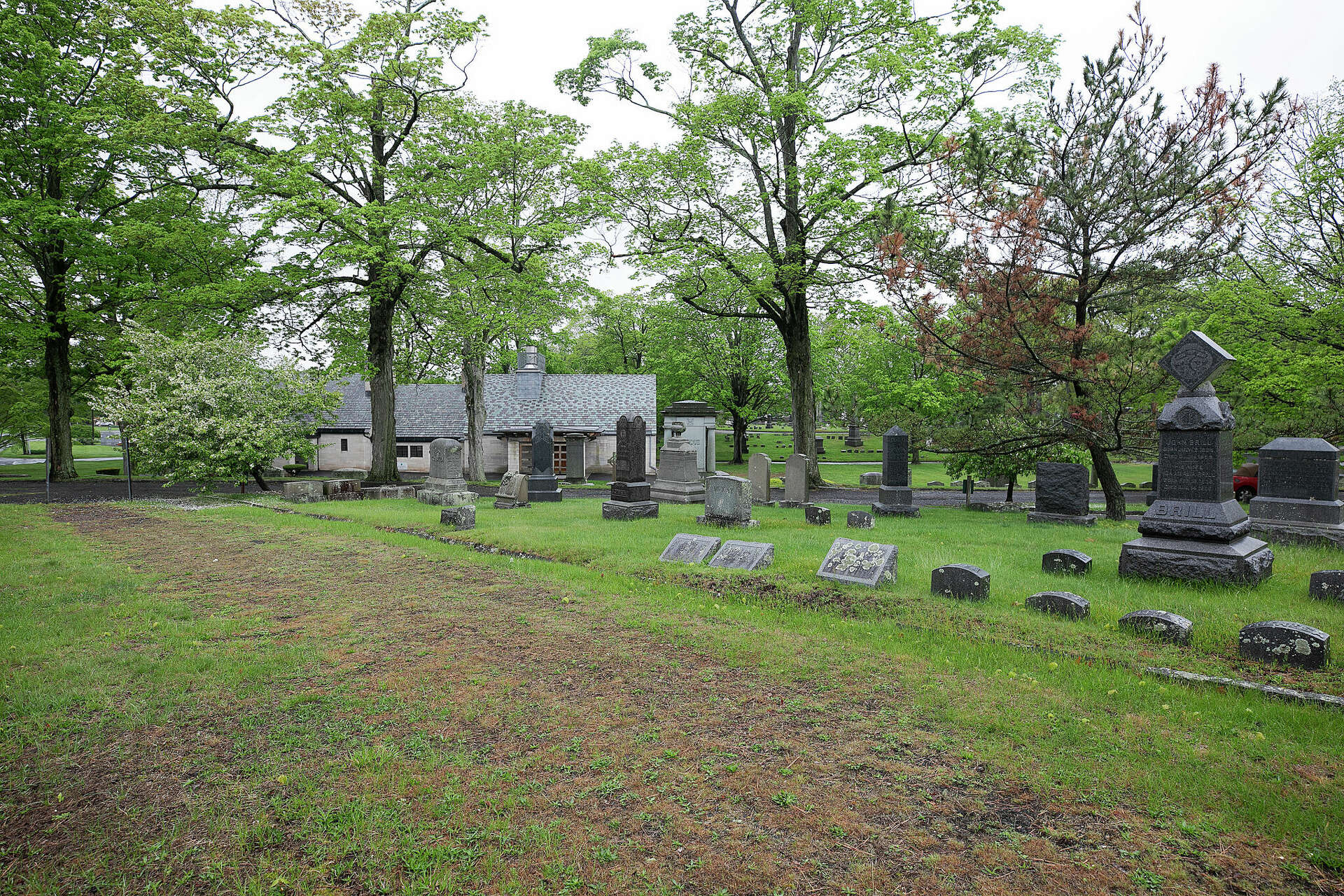 New Haven police identify city woman found dead at Evergreen Cemetery