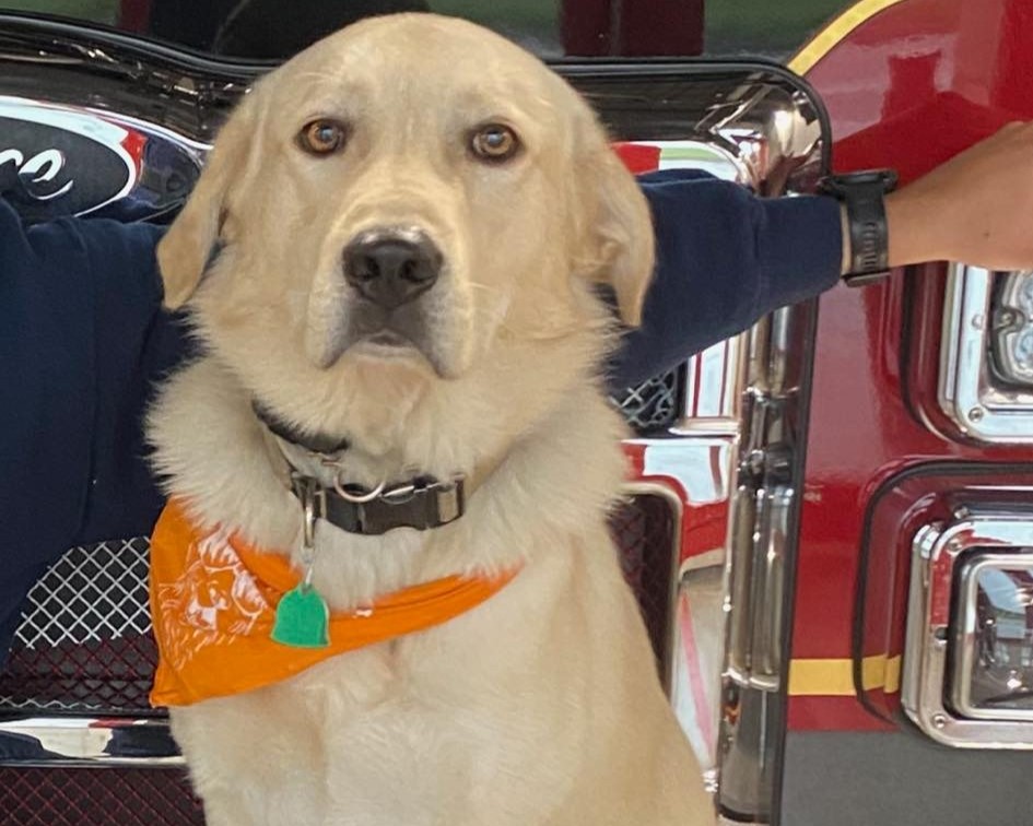 Texas firefighters mourn Riggs, missing station pup found dead