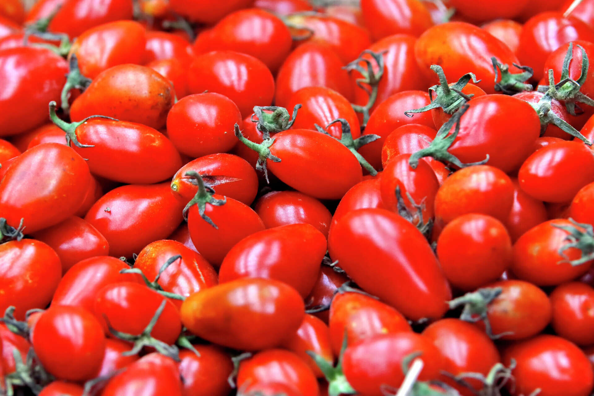 San Antonio May garden guide: What to plant and harvest now
