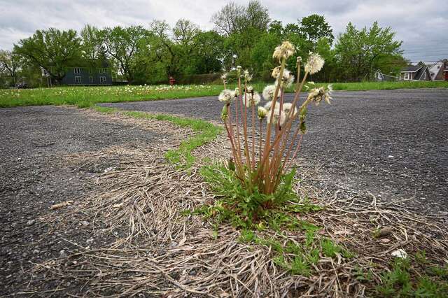 Troy's Knickerbacker pool now to open in 2026
