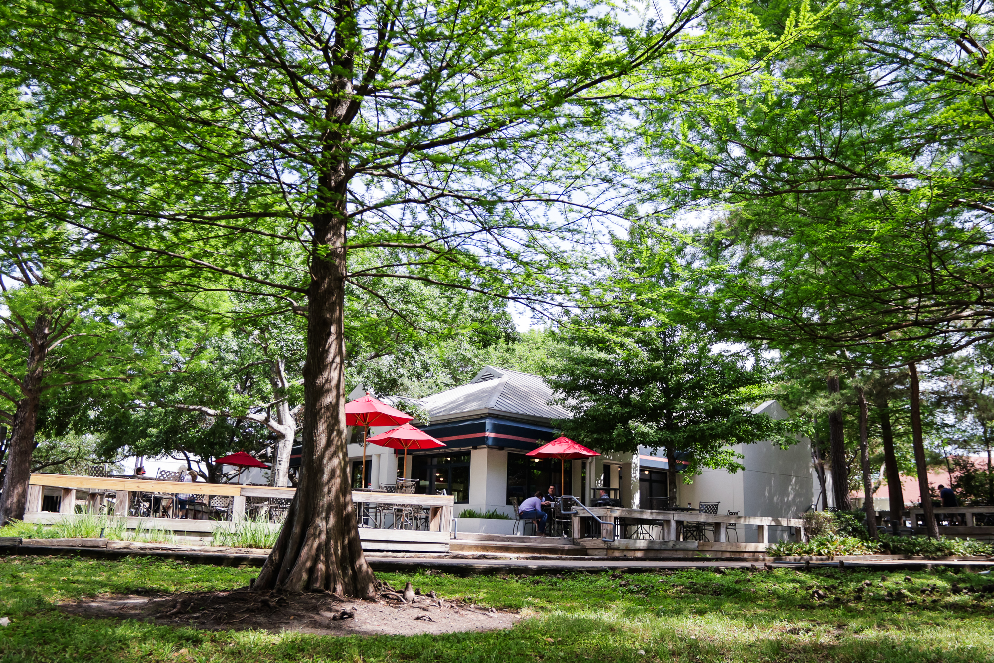 This Texas burger chain has been saving trees for 40 years