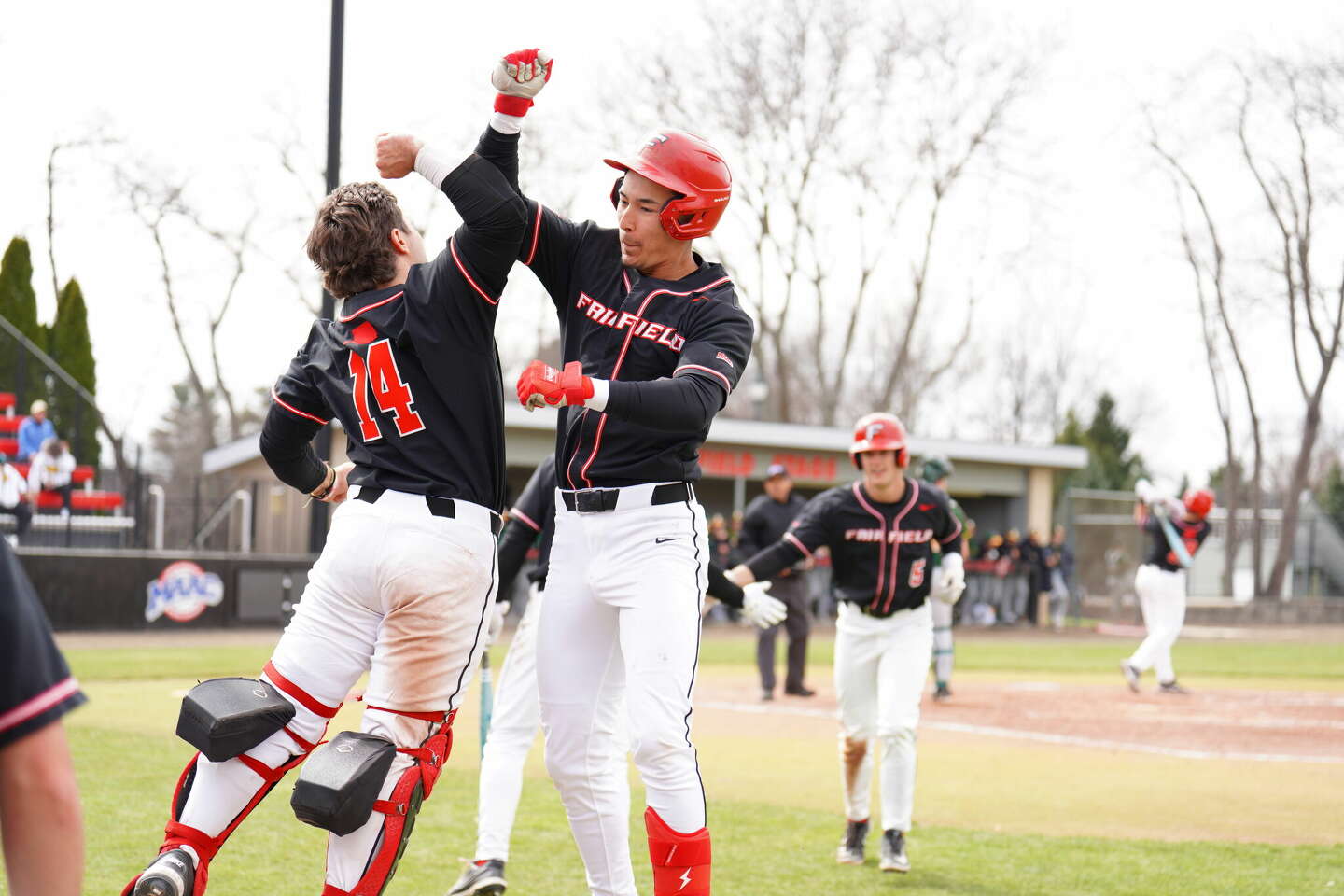 Fairfield baseball facing Coastal Carolina in NCAA Regional