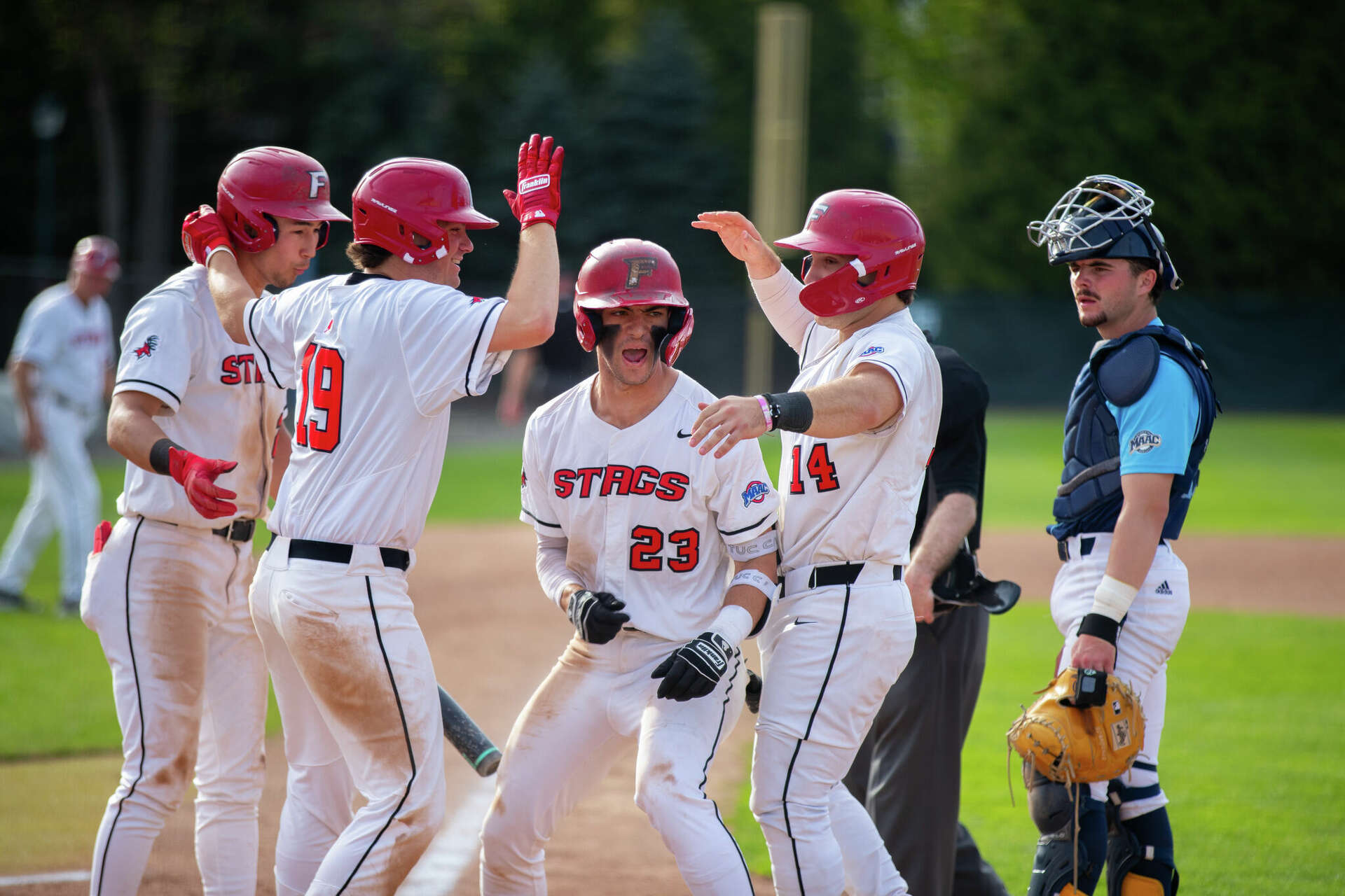 Fairfield baseball facing Coastal Carolina in NCAA Regional