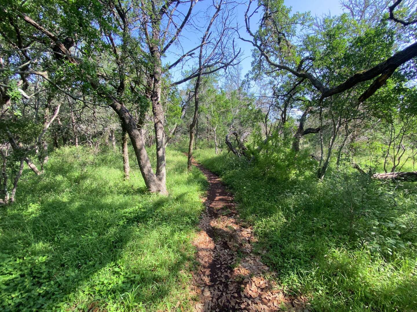 100-mile trail connecting San Antonio to Austin lands major victory