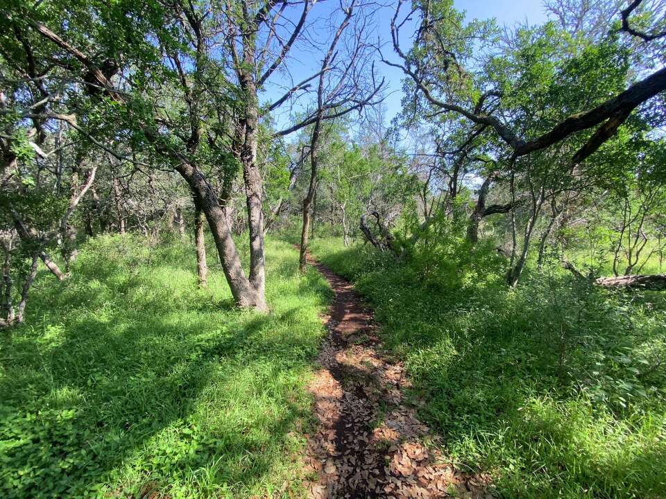 Hiking a hidden gem trail between San Antonio and Austin