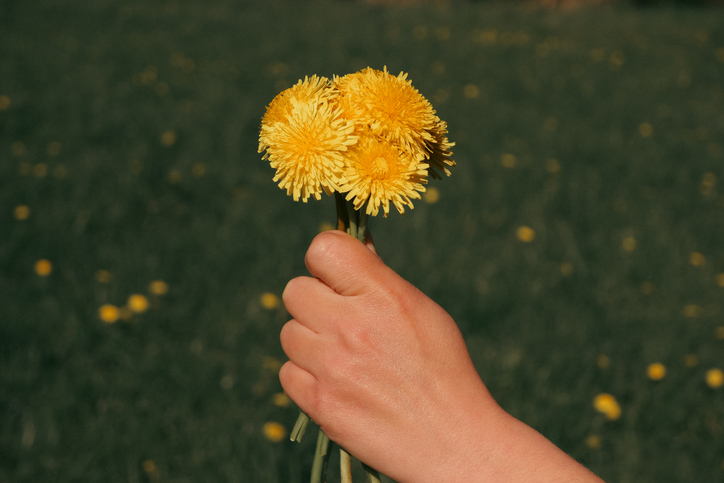 A perfect Mother’s Day bouquet — Robin Garrison Leach