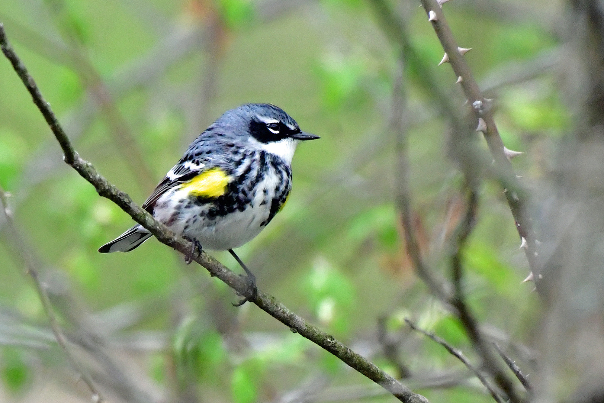 Reader photo: Lead singer