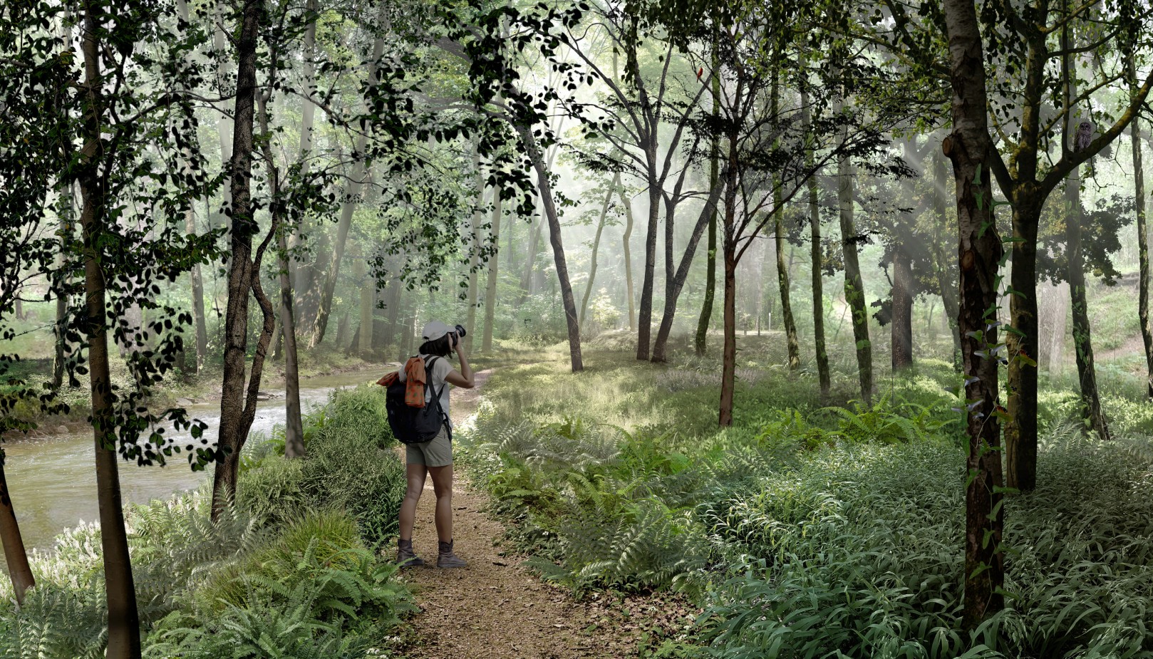 Central Market unveils plans of new high-rise store in Texas