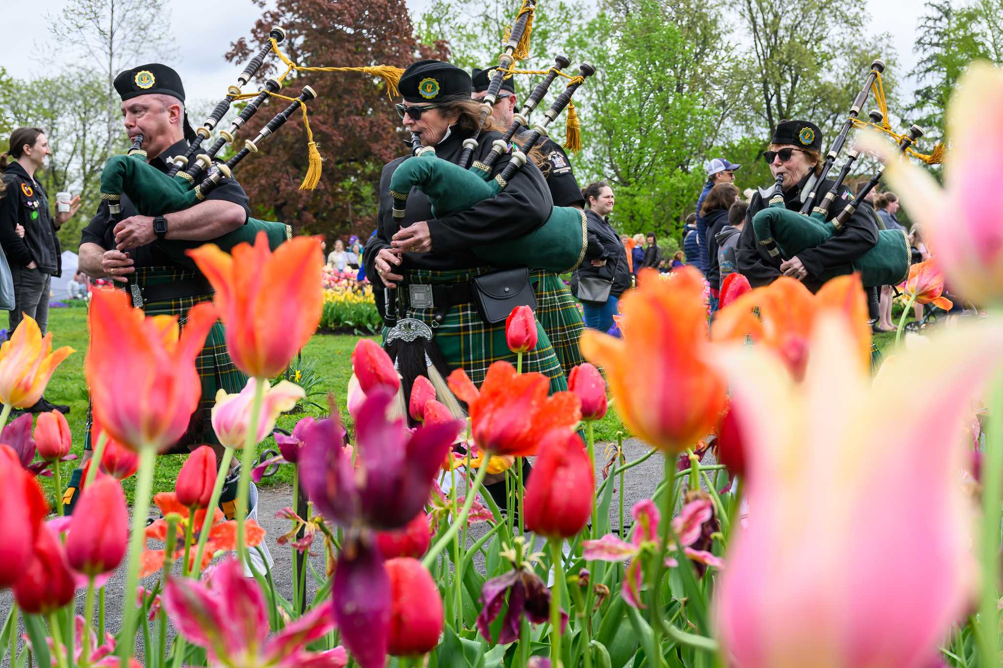 Albany rappers' Yankees song video played at stadium on opening day