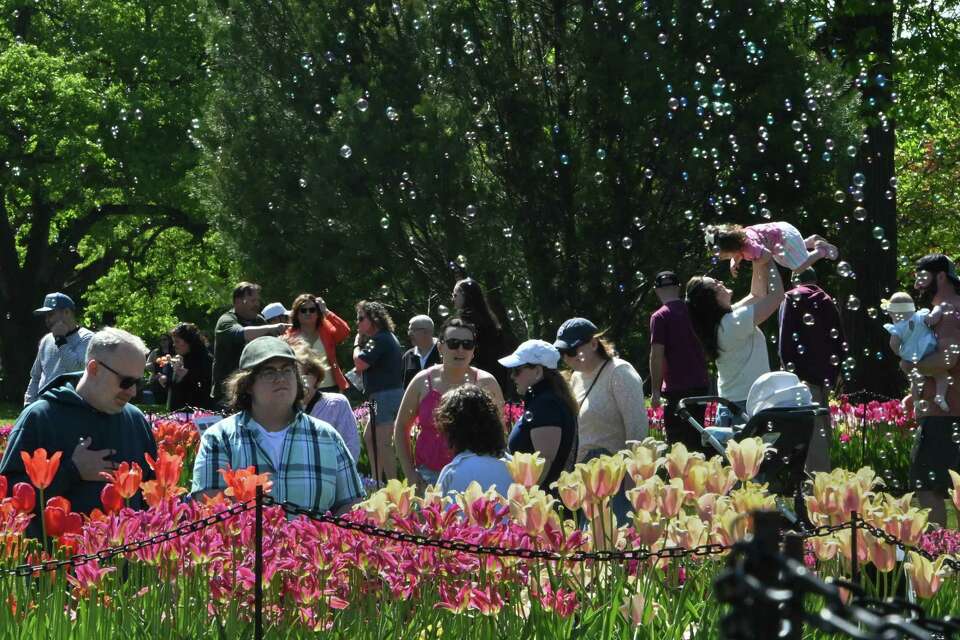 Photos: Moms in full bloom at Albany Tulip Festival
