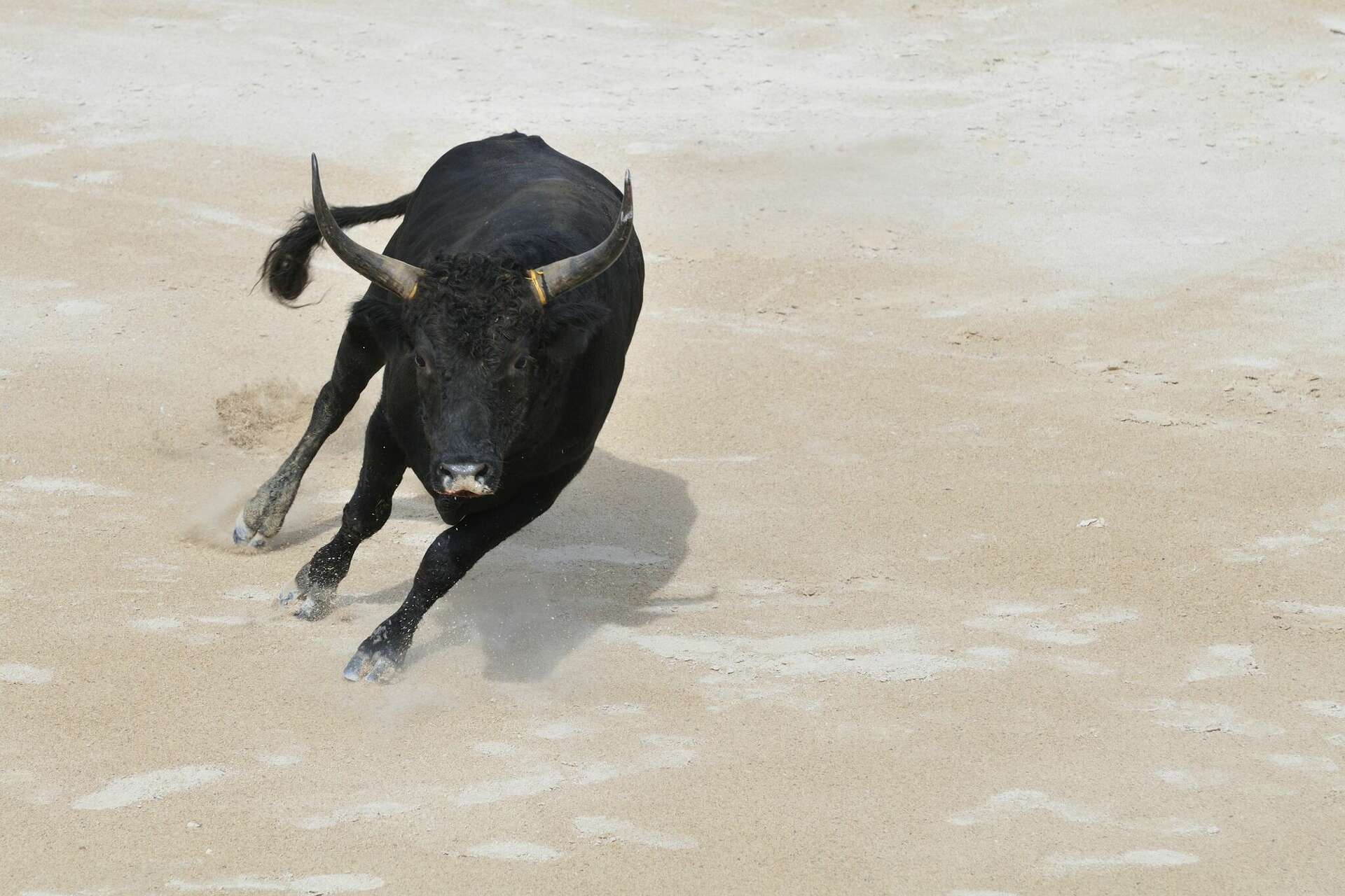 Texas rapper That Mexican OT blasted by bull at rodeo event