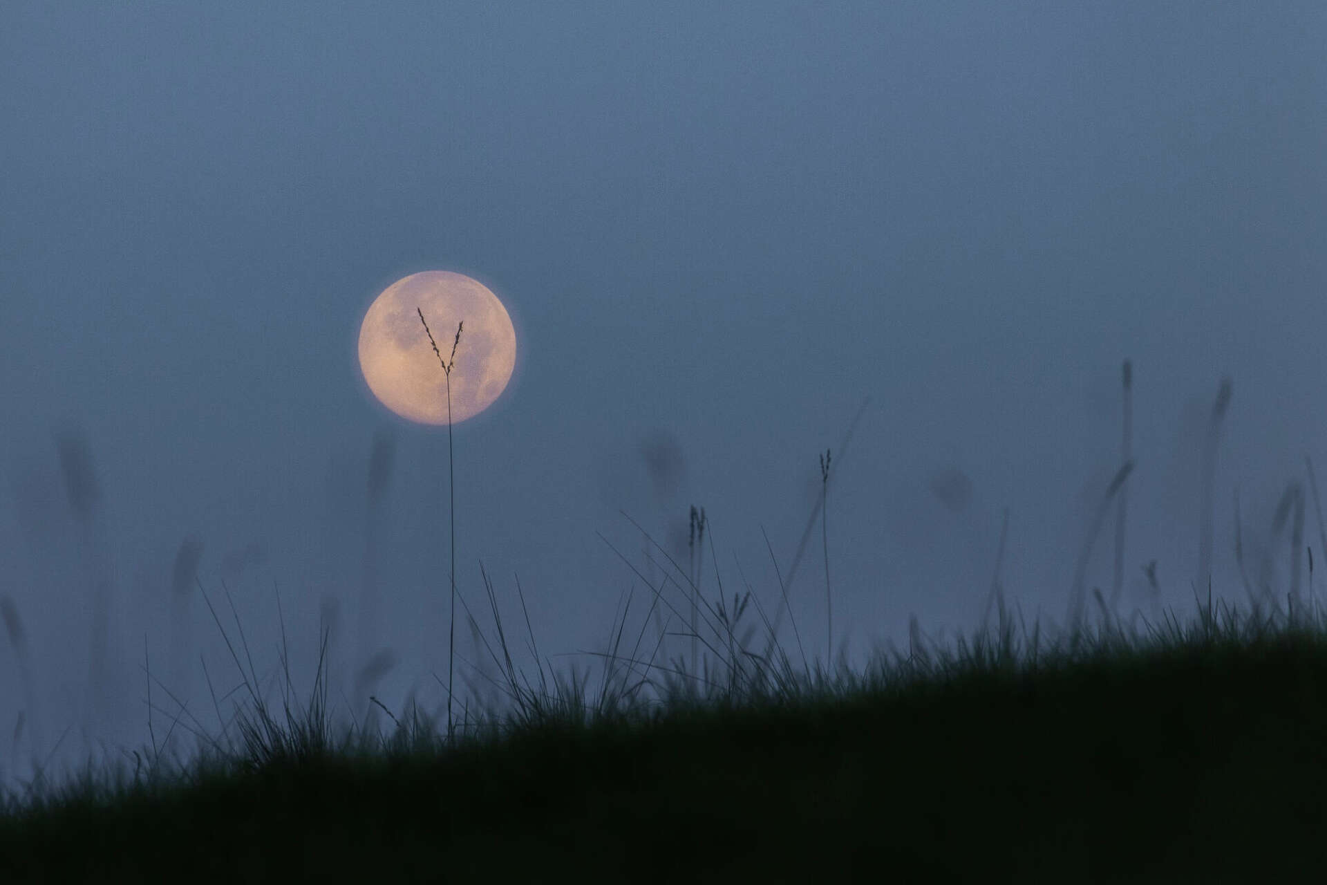 'Flower Moon' to cast stunning glow over Texas. Here's when.