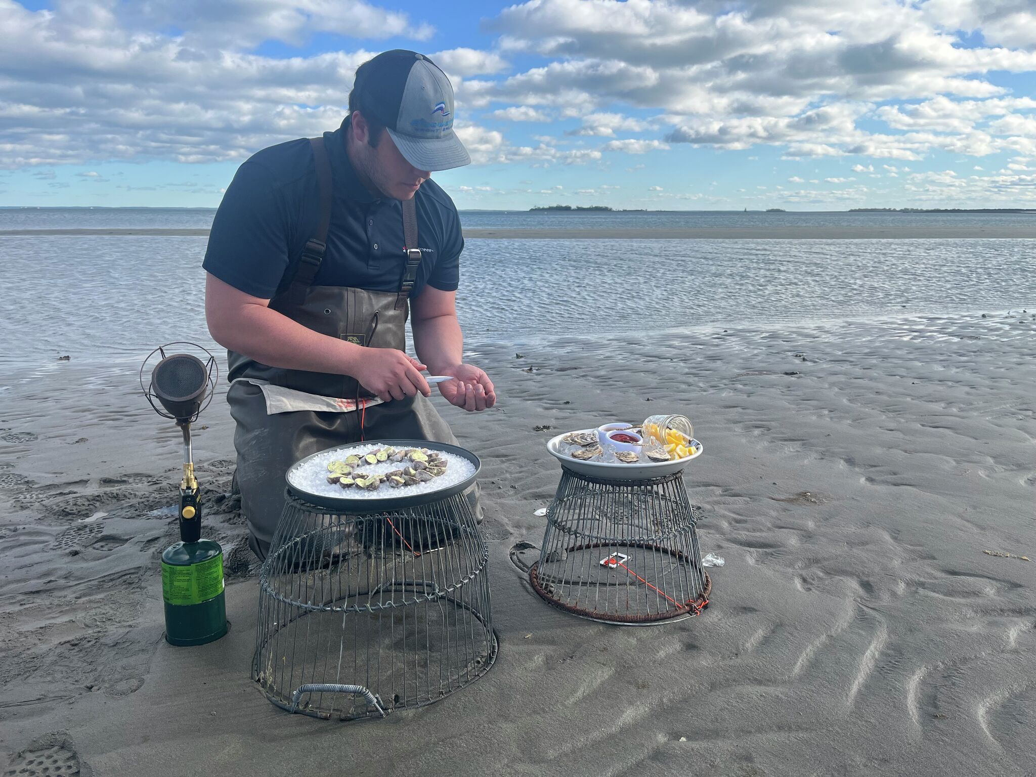 Foraging and shellfishing: How to live off the land in Connecticut