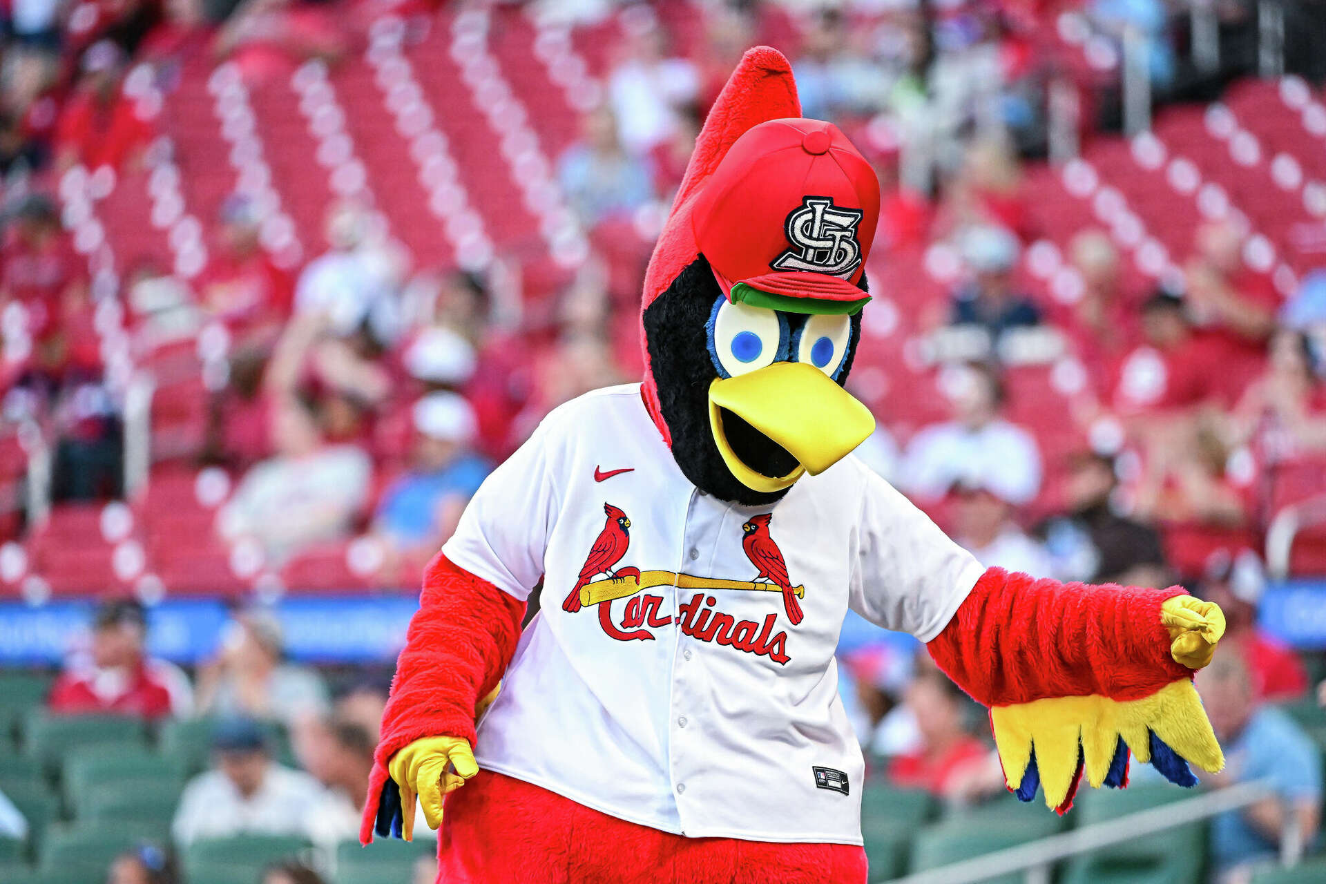 2025 Mascot Hall of Fame ballot includes St. Louis Cardinals' Fredbird