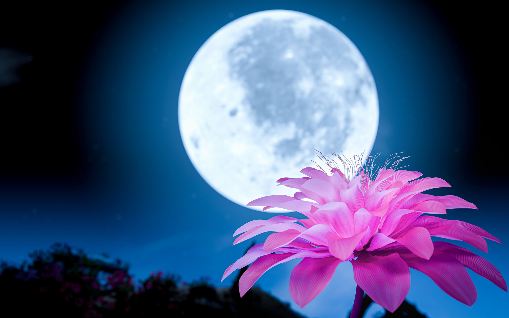 May flower moon shines tonight as full moon reaches peak