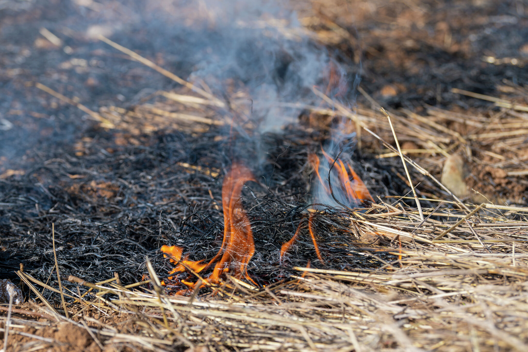 DNR warns of high fire danger