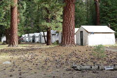 National Park Service won't open Yosemite High Sierra Camps for summer