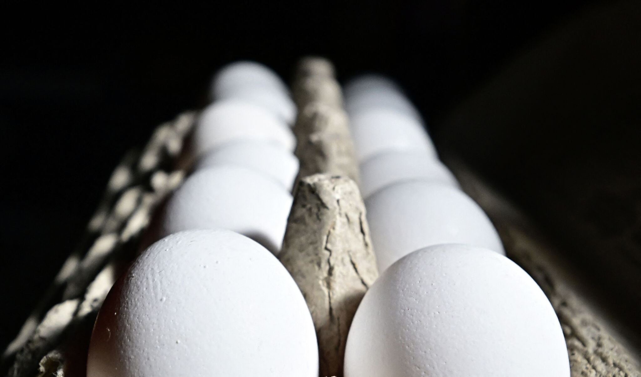 CT egg prices drop after record highs, still above 2024 prices