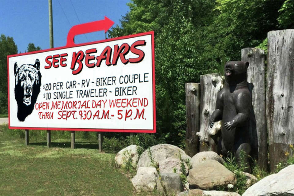 Experience Michigan’s Oswald’s Bear Ranch, Home to Rescued Black Bears