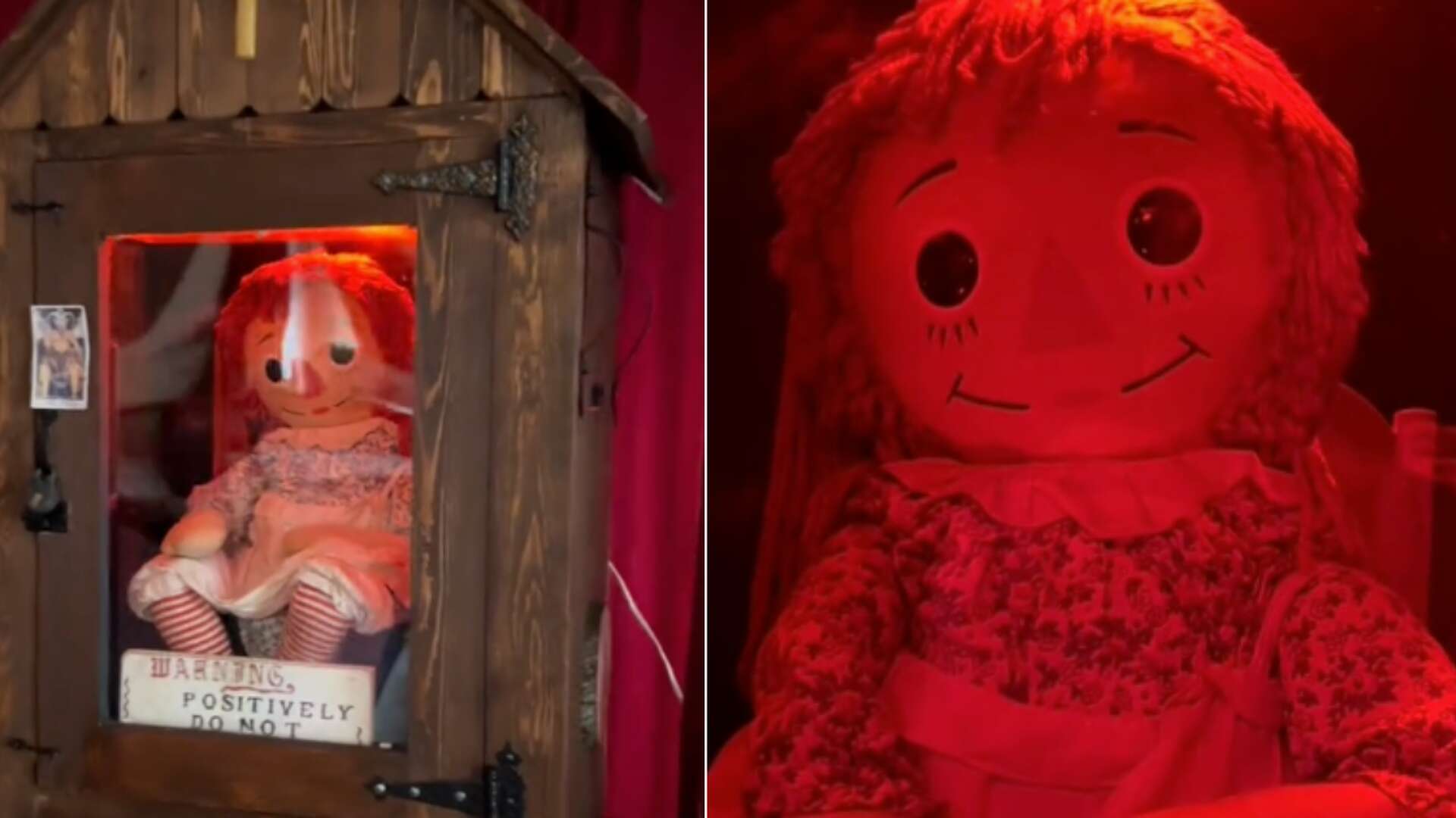 Is the Annabelle doll missing? Rumors spark frenzy online