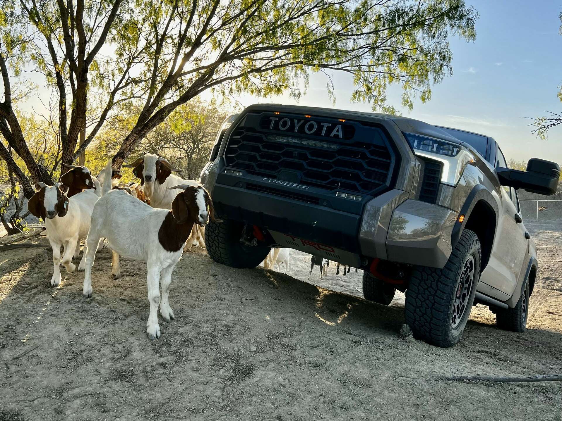 Review: Toyota Tundra TRD Pro pickup matches power with style