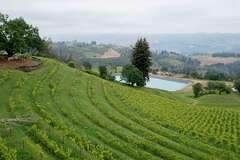Esther Mobley, Senior Wine Critic - San Francisco Chronicle