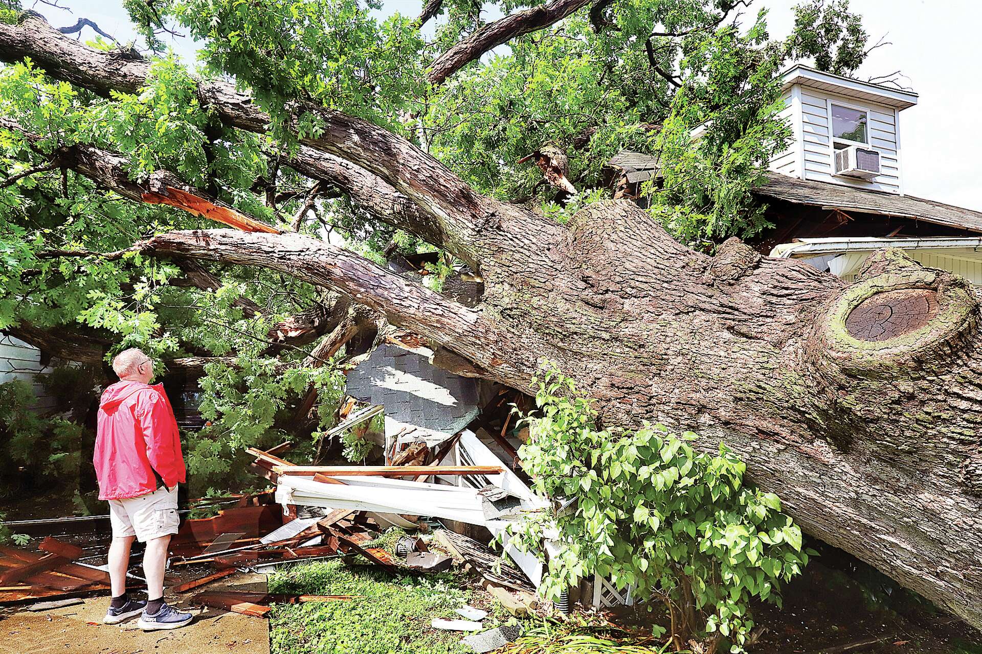 Storm hits Alton, topples historic tree and causes widespread damage