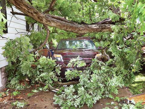 Storm hits Alton, topples historic tree and causes widespread damage