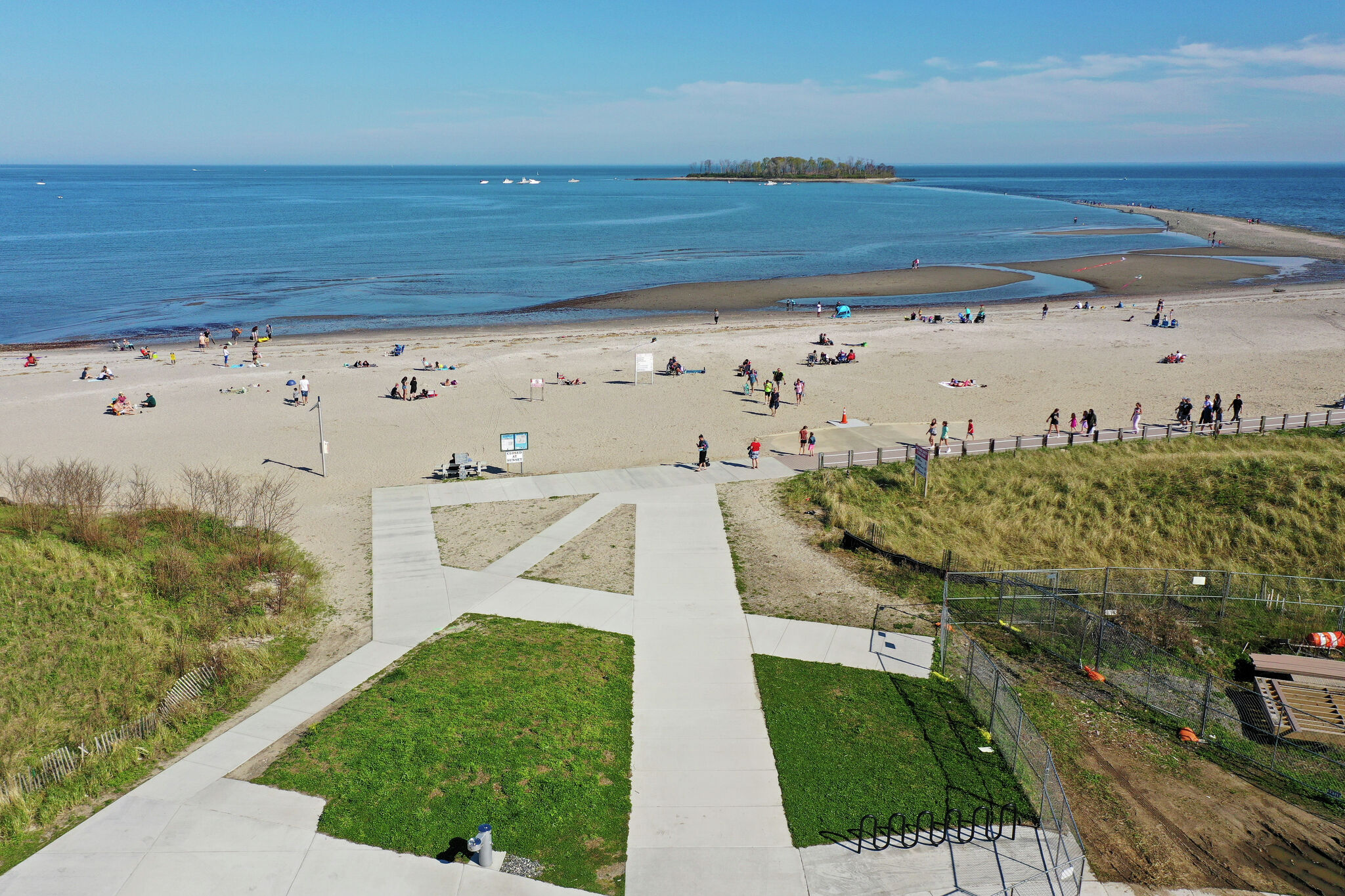 Spotted lanternfly nymphs have emerged in the CT area for 2025