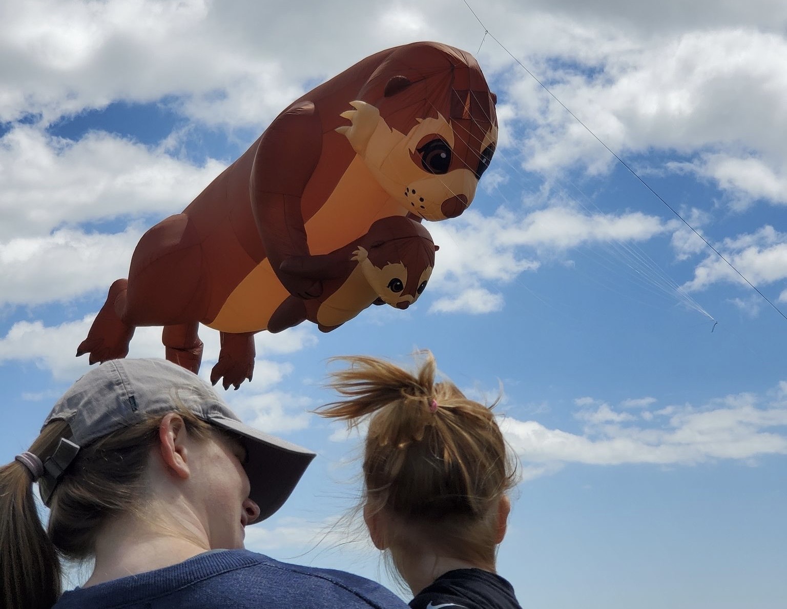 Otter kite flew into power lines, cut off electricity in Groton