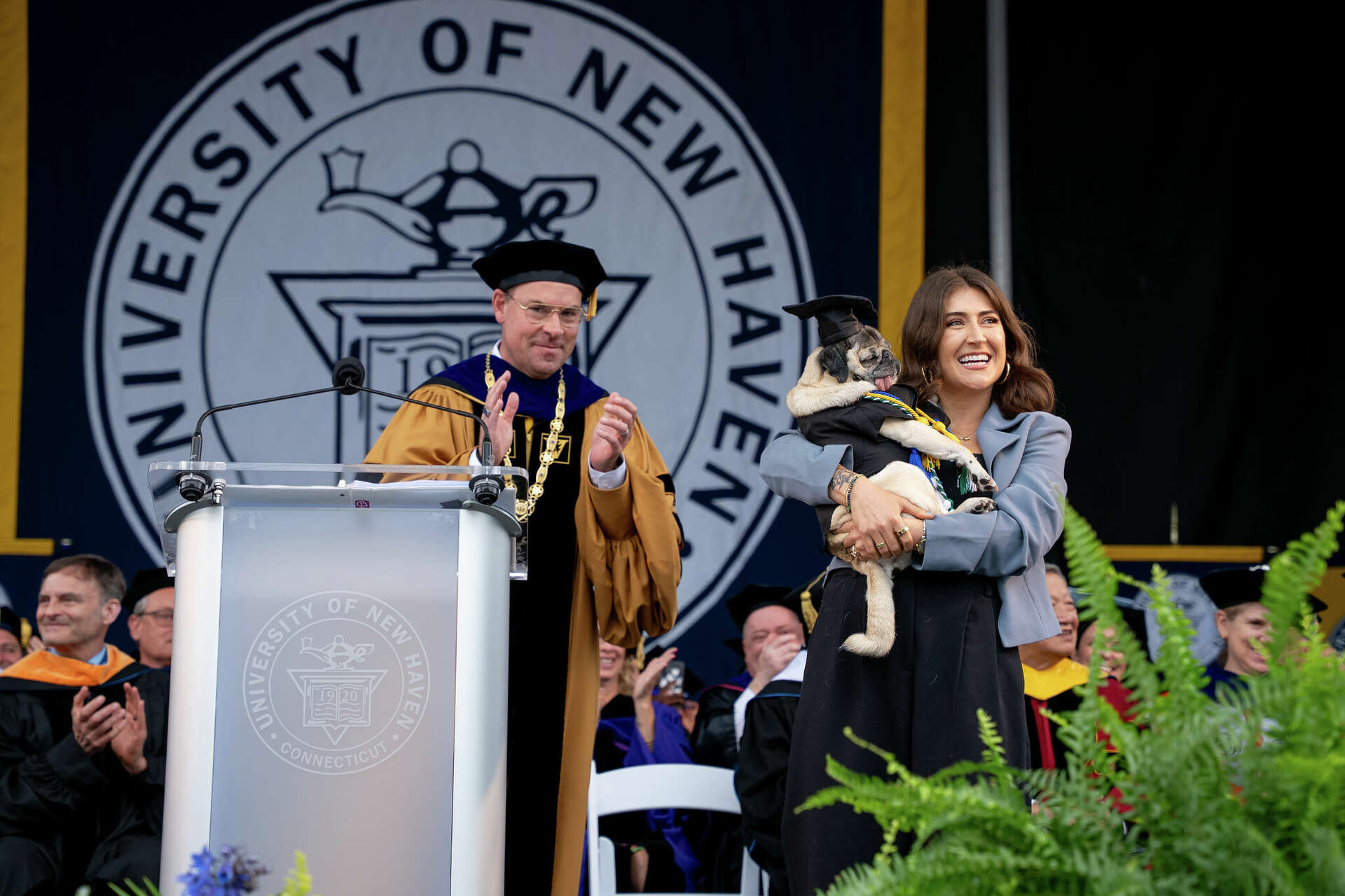 Doug the Pug earns honorary degree from the University of New Haven
