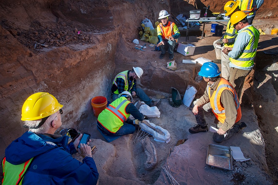 Highway construction in Texas leads to stunning prehistoric discovery