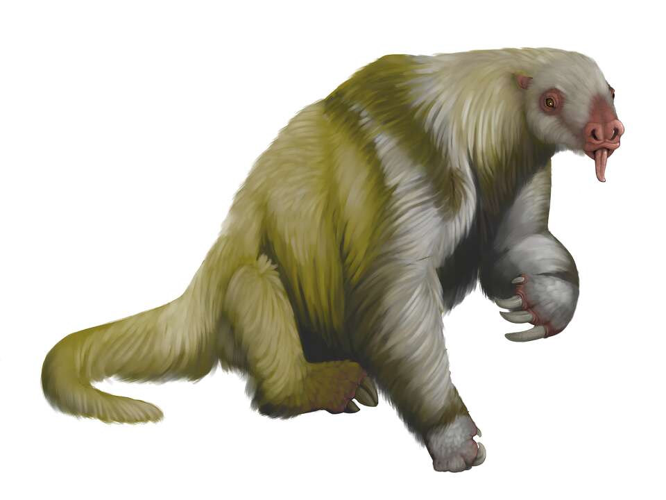 Highway construction in Texas leads to stunning prehistoric discovery