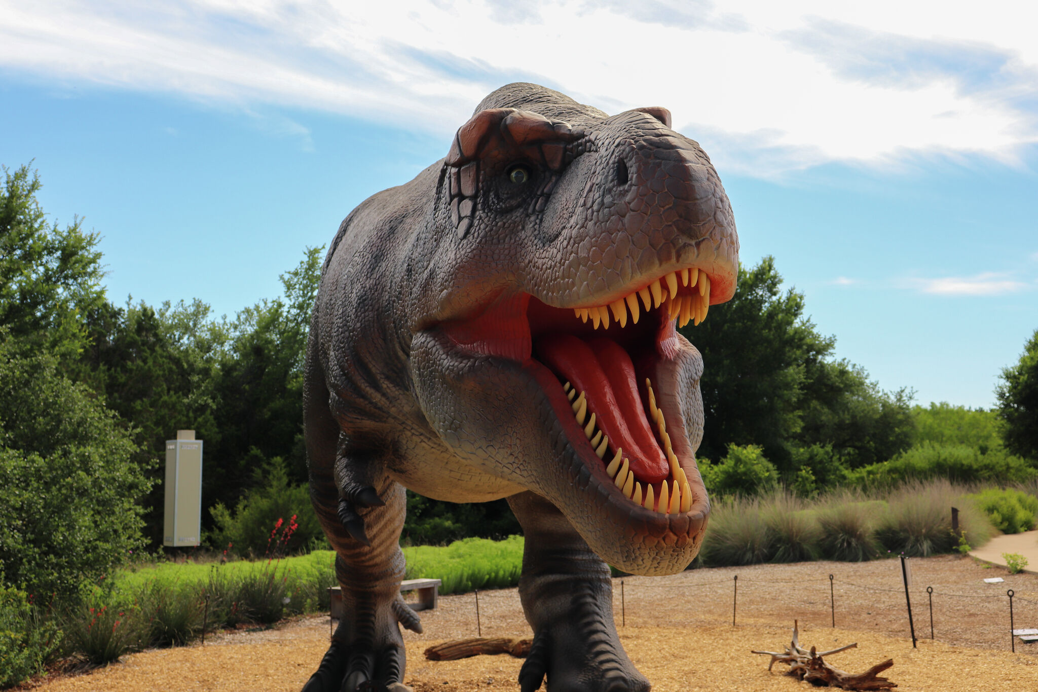 Lady Bird Johnson Wildflower Center adds dinosaur exhibition