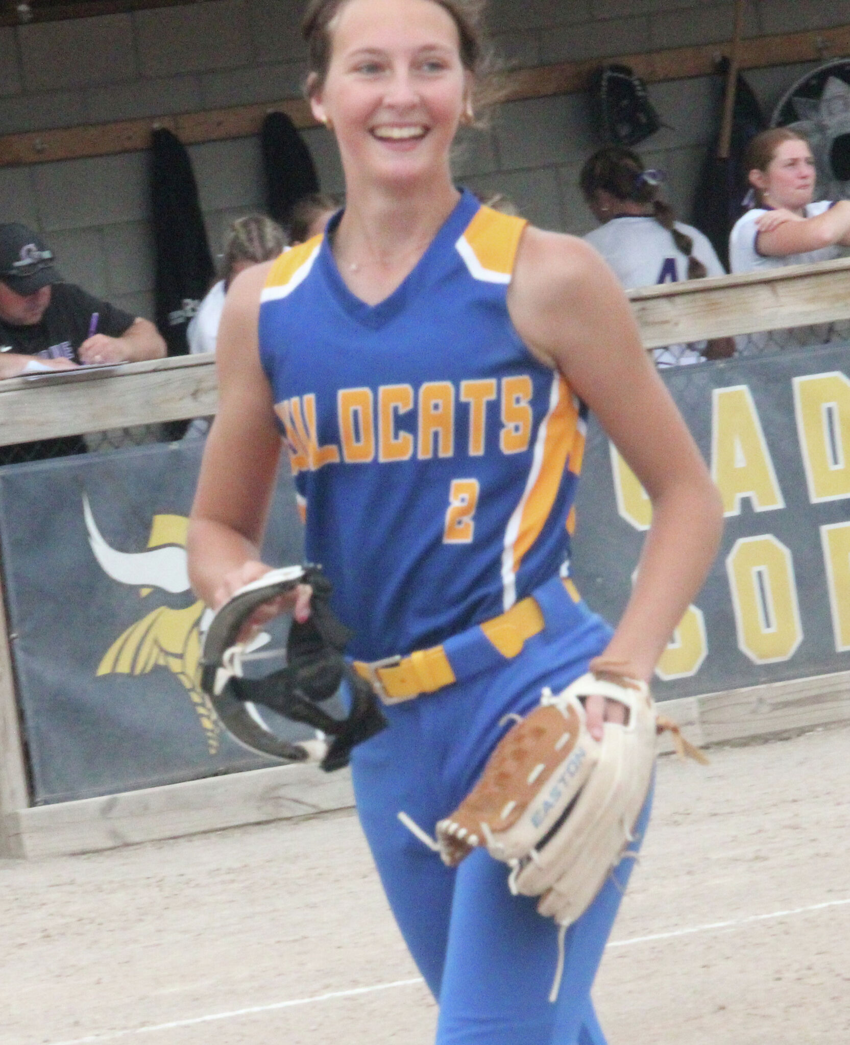 Evart pitcher throws career-high 19 strikeouts