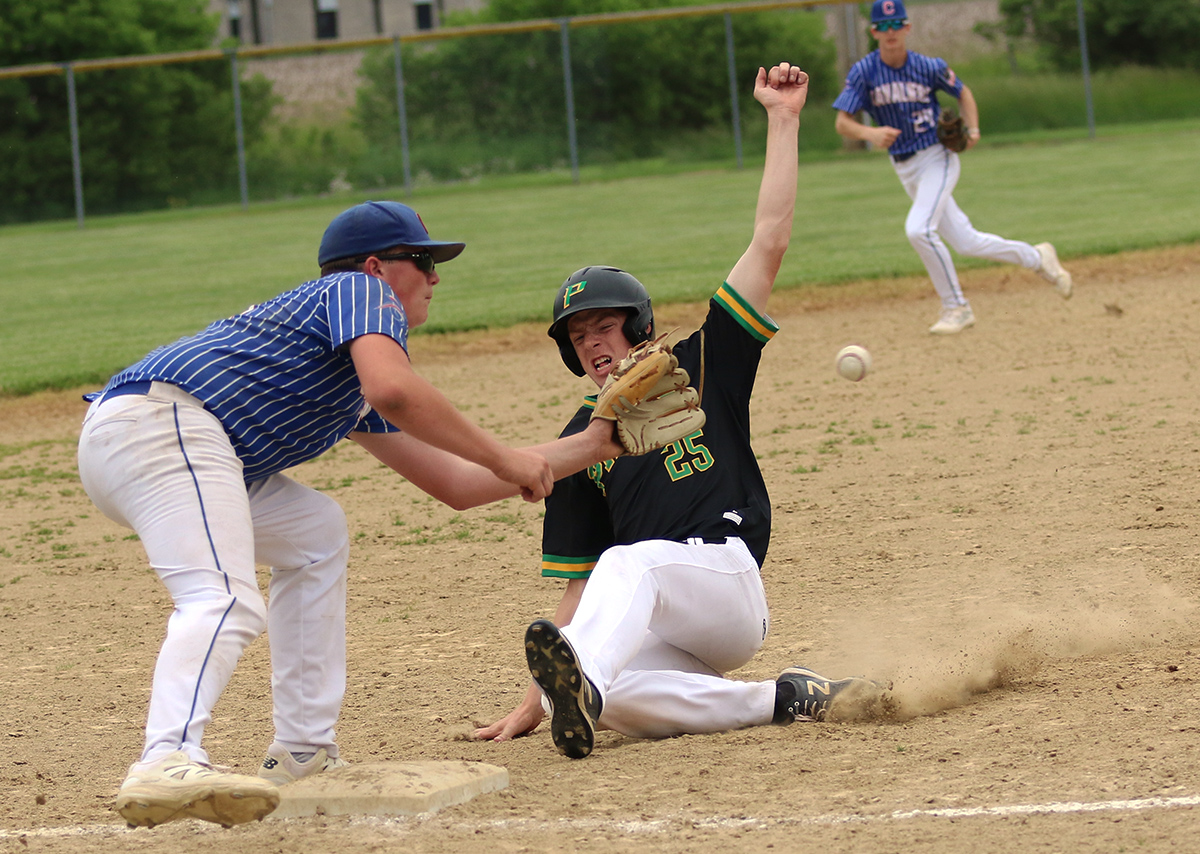 MONDAY BASEBALL: Piasa Birds move on; Cavies, Miners, Dogs move out