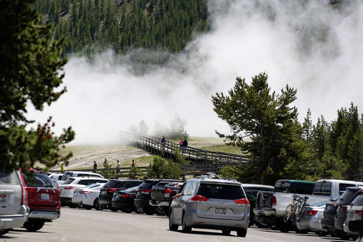 Yellowstone bear flipping 800-pound dumpsters meets grim end