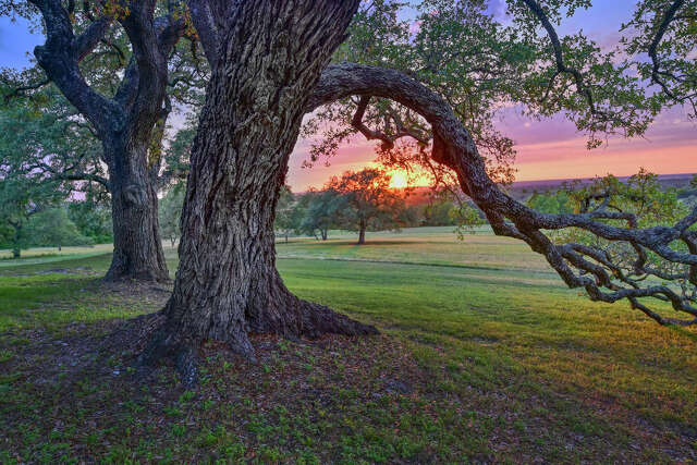 Rare Texas legacy ranch hits market for first time in 60 years