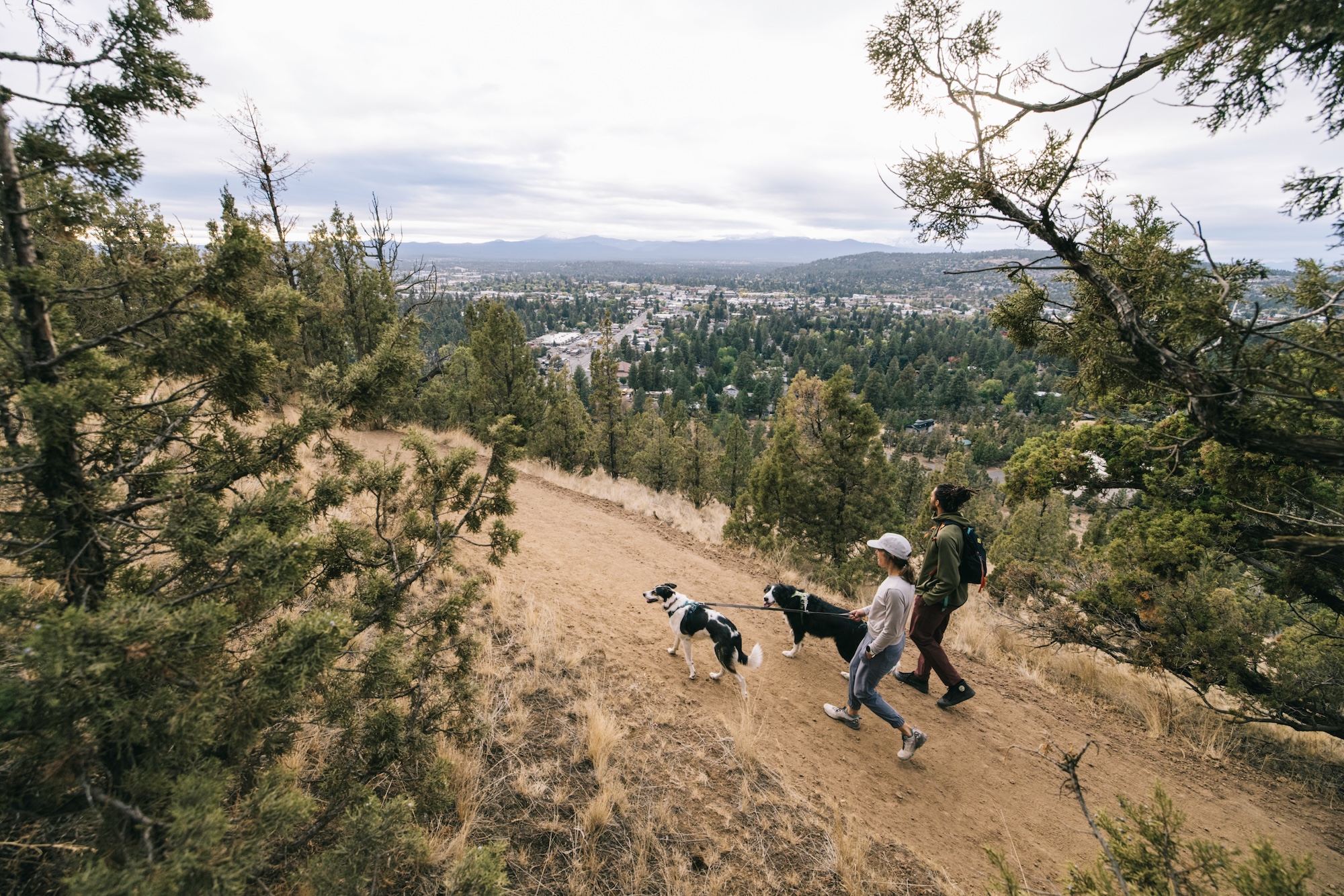 Step into nature with 50% off an annual AllTrails+ membership