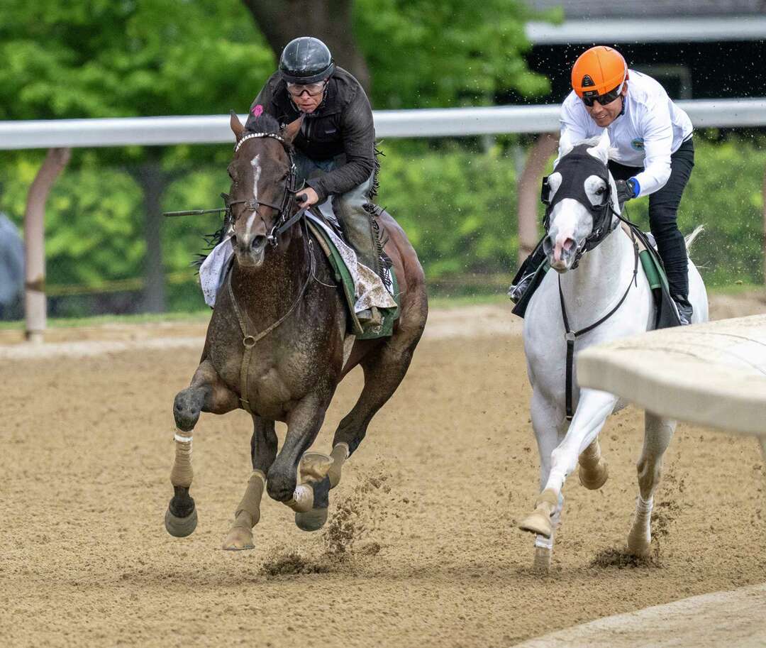 Kentucky Derby winner Sovereignty works out ahead of Belmont Stakes