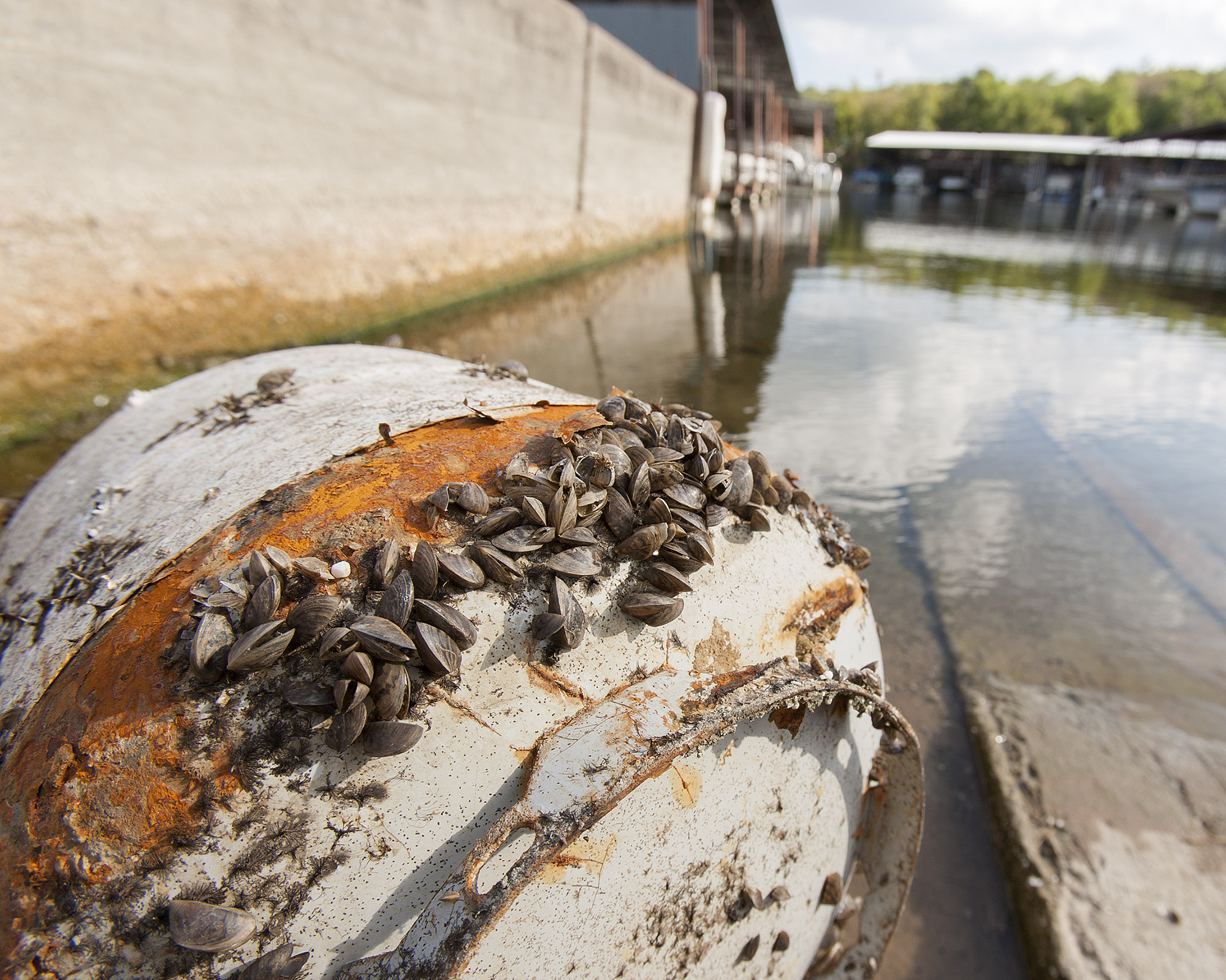 Texas wildlife officials warn of invasive species on boats