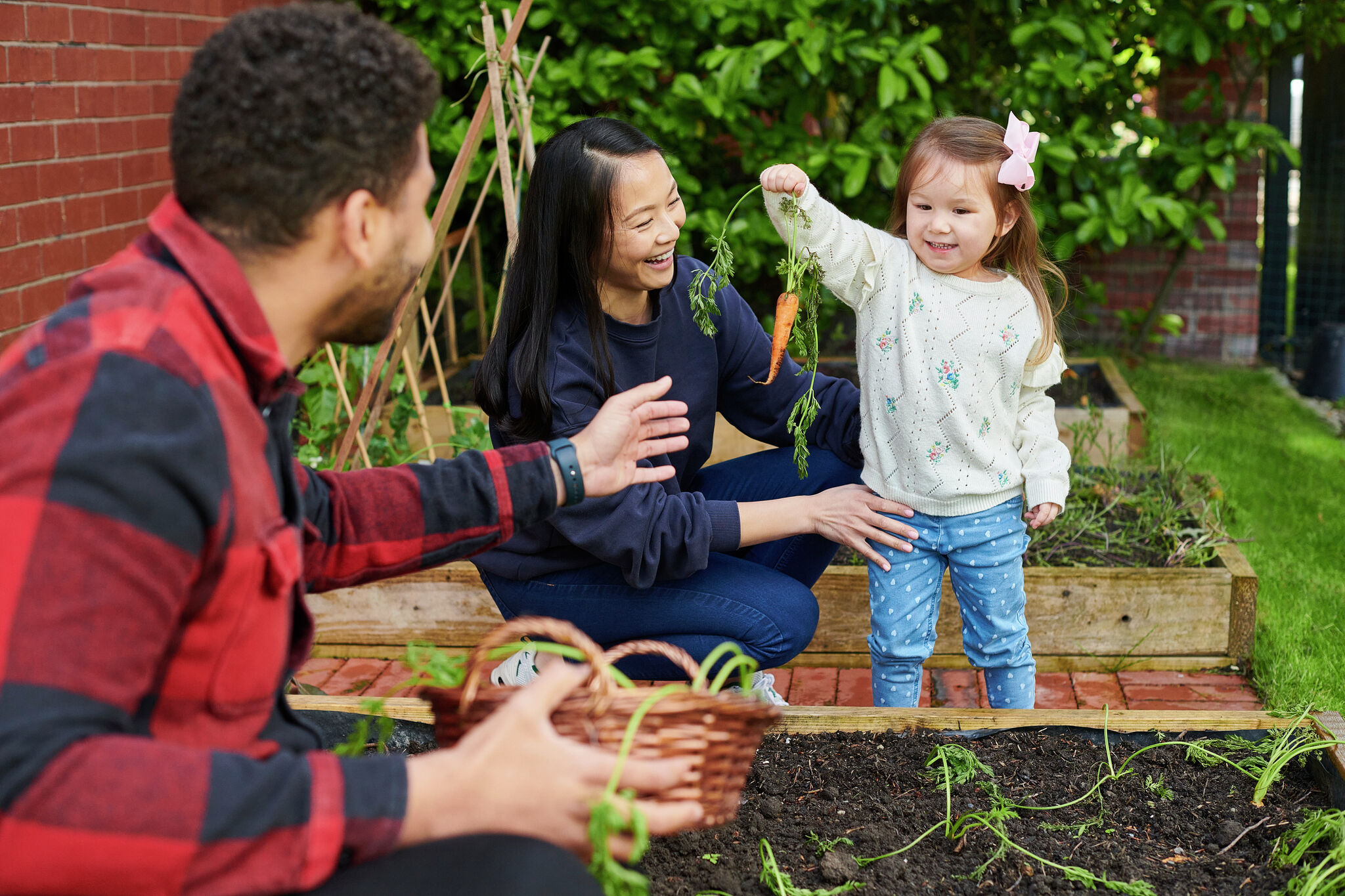 No yard? You can still grow your own food