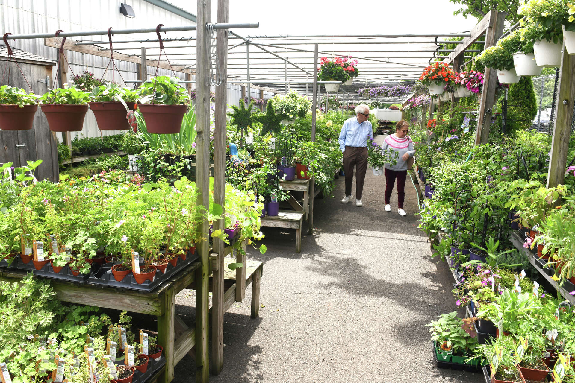 How Agriventures Agway and other independents adapt to changes in CT