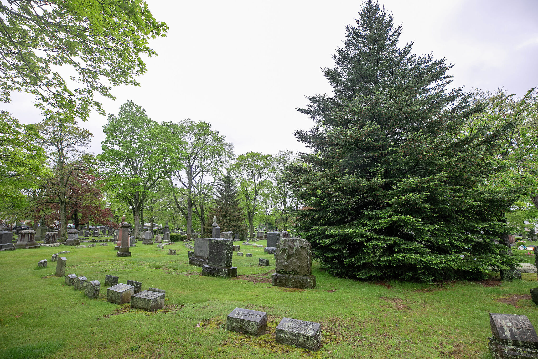 “It’s incredible”: New Canaan’s Drew Pyne plays first snaps for Notre Dame football