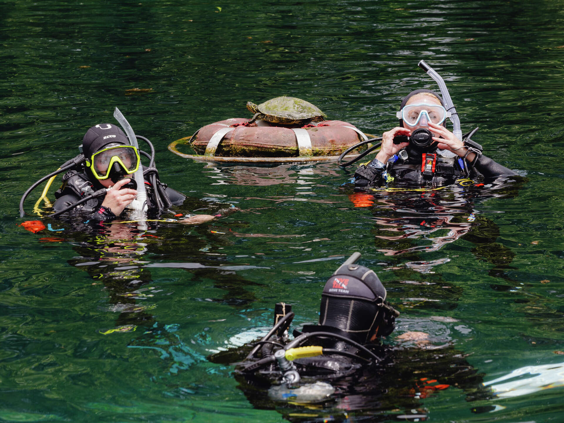 Scientific scuba diving? A&M-San Antonio can teach you how to do it.