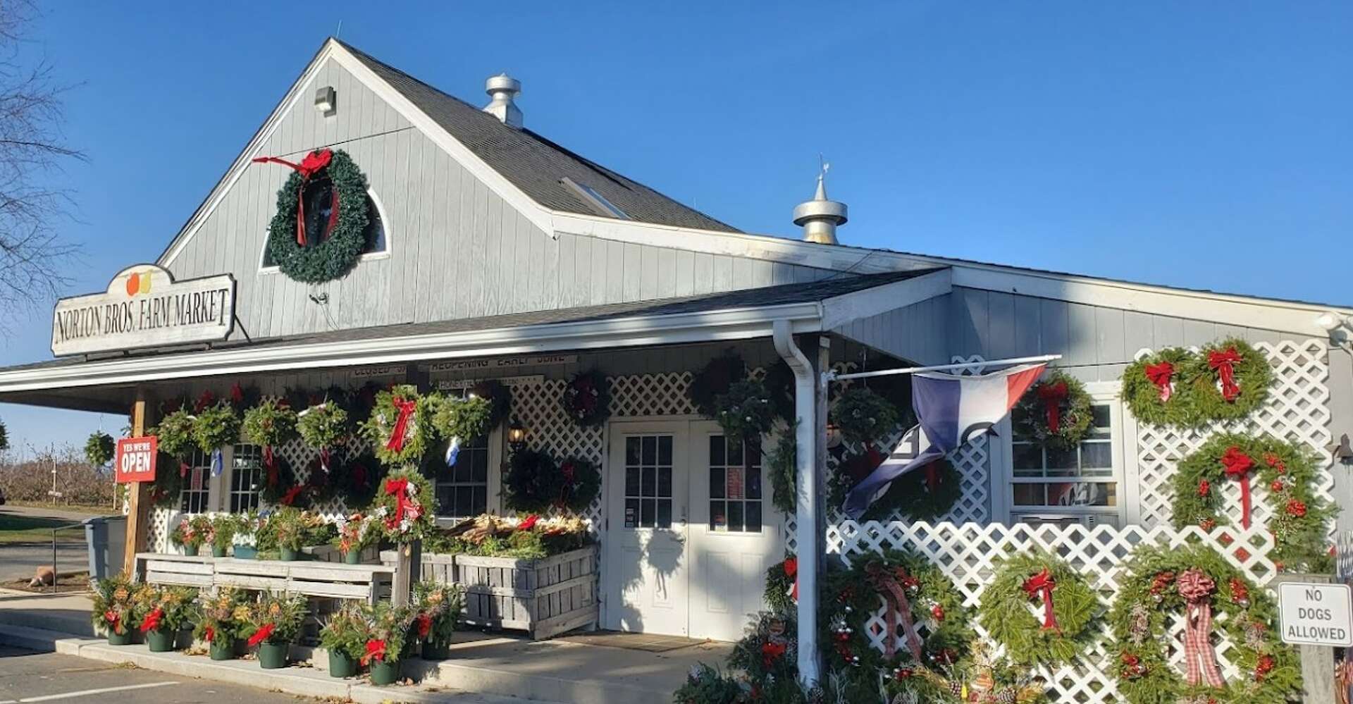 Cheshire's Norton Brothers Fruit Farm closes after 268 years