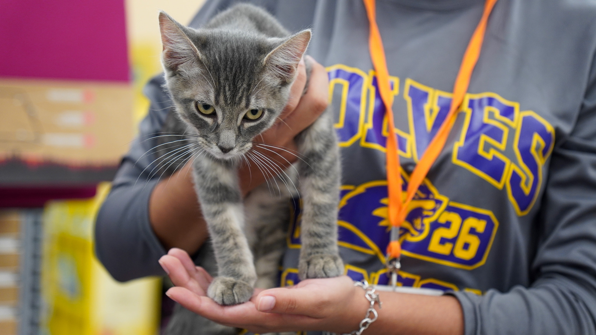 Details of Danny Jansen's $14.5 million, 2-year contract with the Texas ...