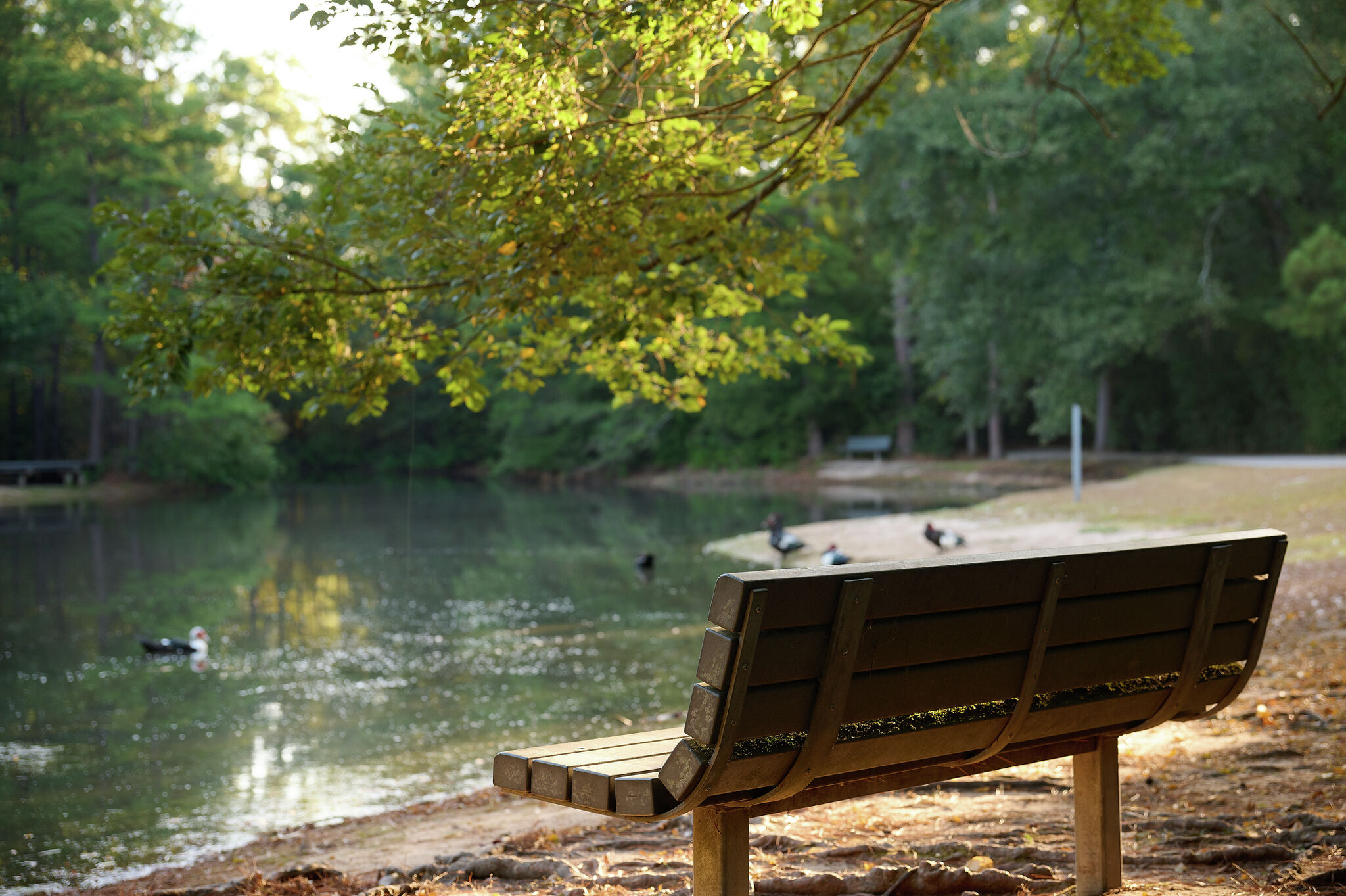 Texas has some of the worst city parks in the US, study says