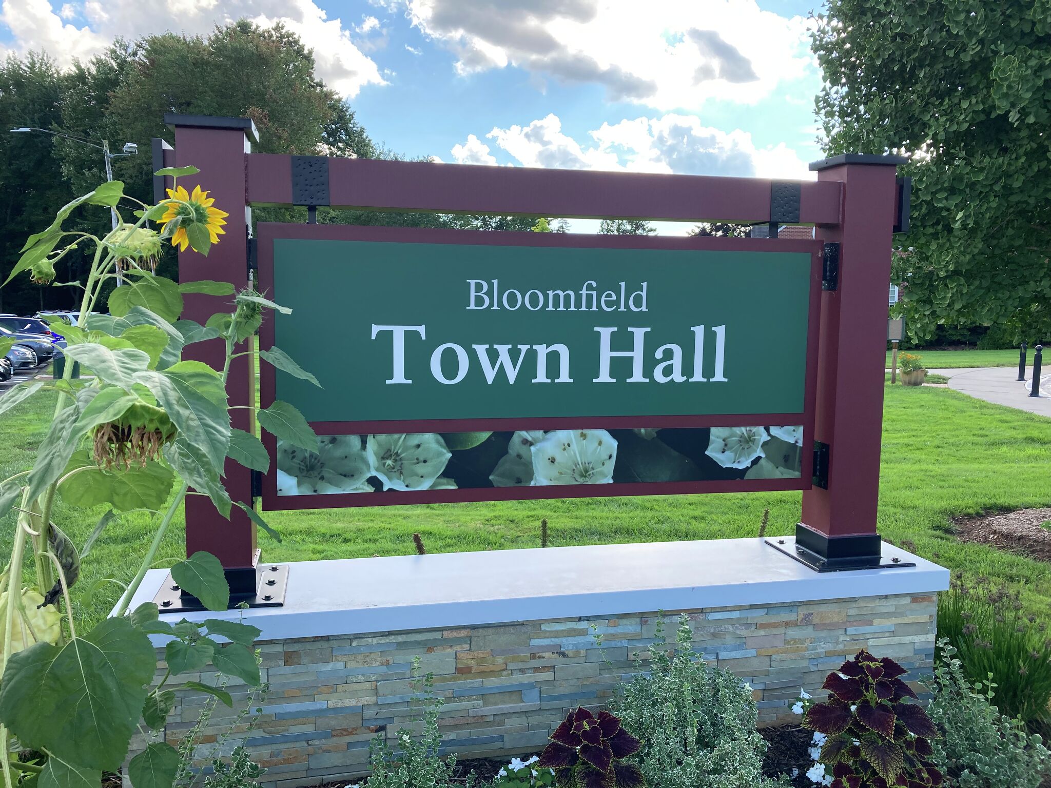 One petitioning candidate wins Bloomfield Town Council ballot spot