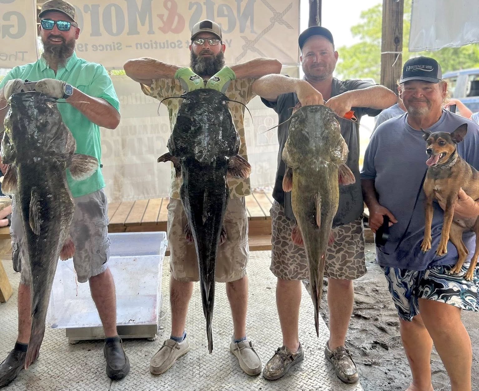 Big catfish hit the scales during Op Masters event at Sam Rayburn